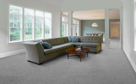 Carpet Brands | Carpet One Floor & Home in Mentor